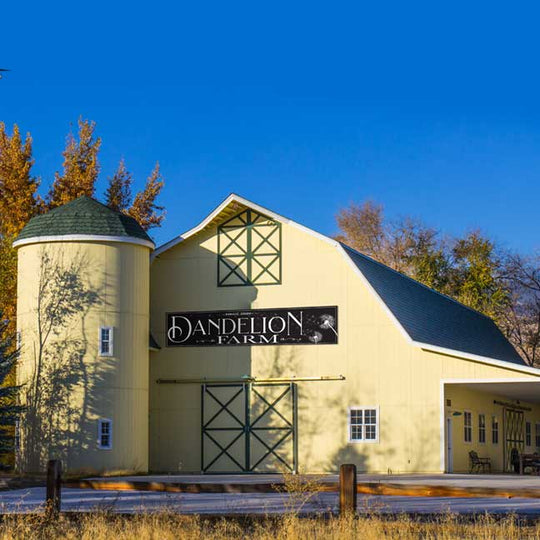 Customize Your Dandelion Large Barn Sign in Yellow – Tailor Made Rooms ...